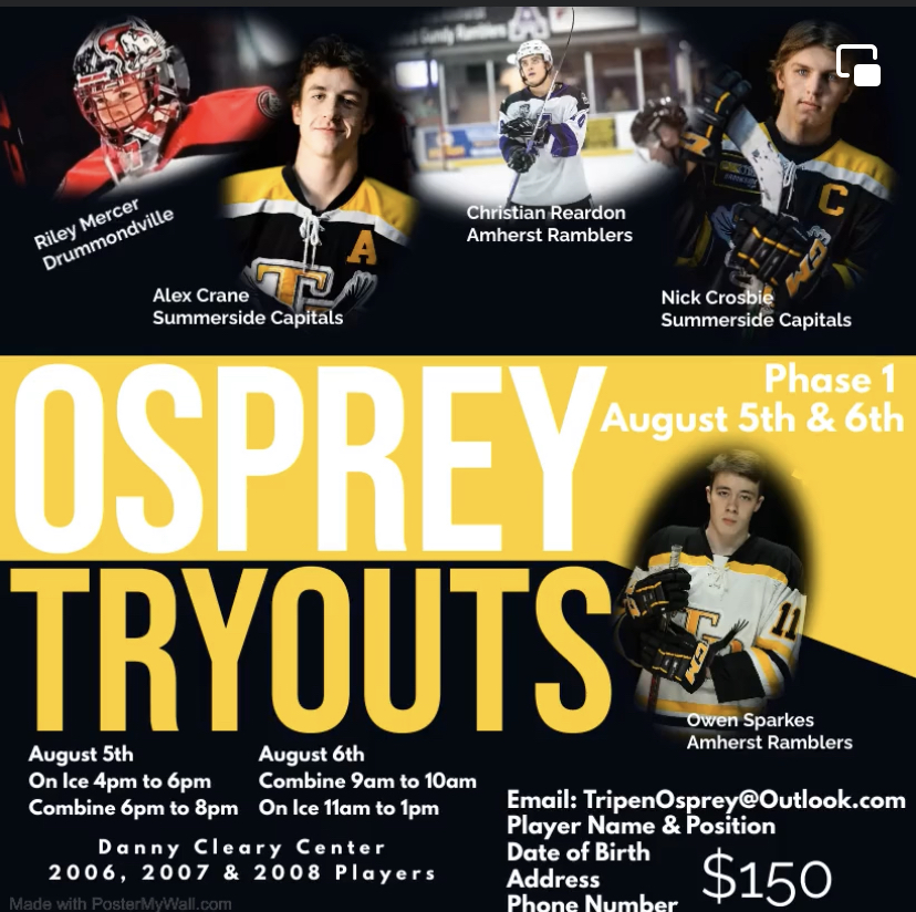 Bay Arena Minor Hockey Association : Website by RAMP InterActive
